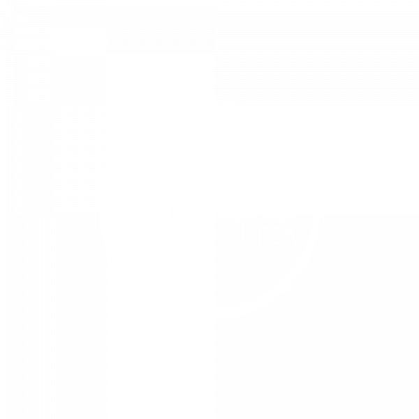 Identidade visual – Pró-Reitoria de Extensão da UFCA
